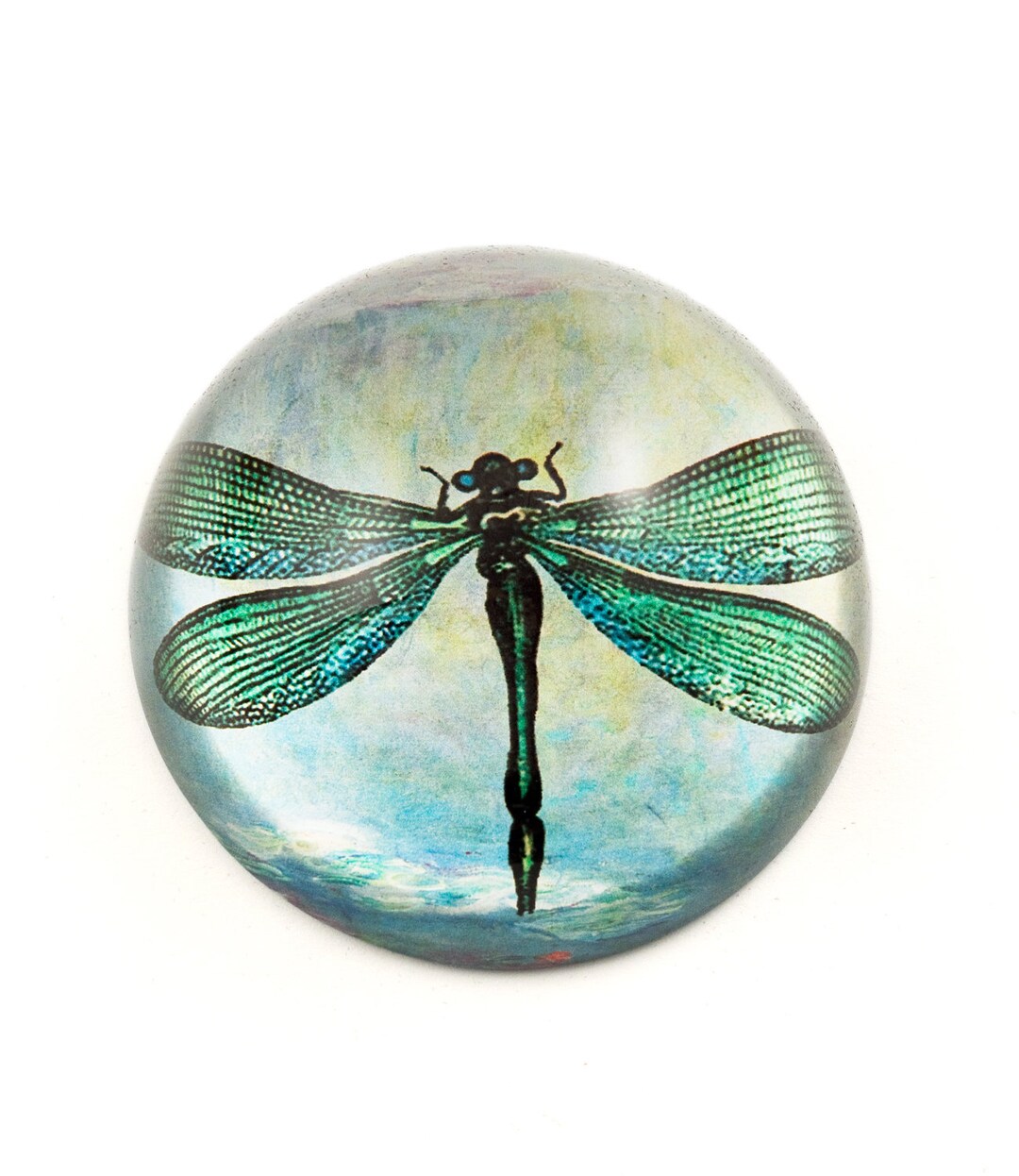 Value Arts Crystal Glass Green Dragonfly Dome Paperweight - Etsy