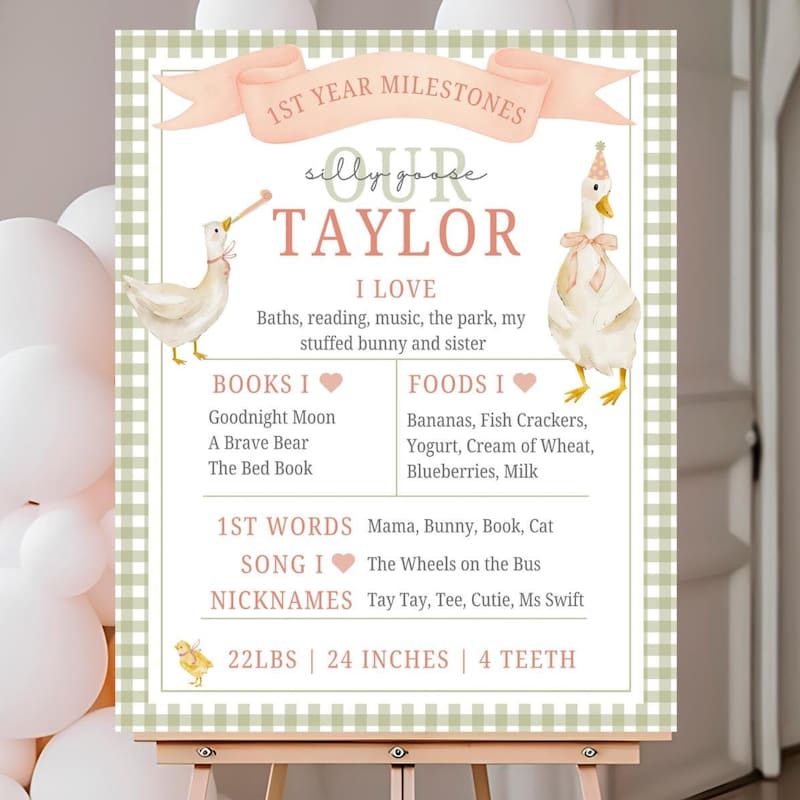 Silly Goose Birthday Party - Etsy