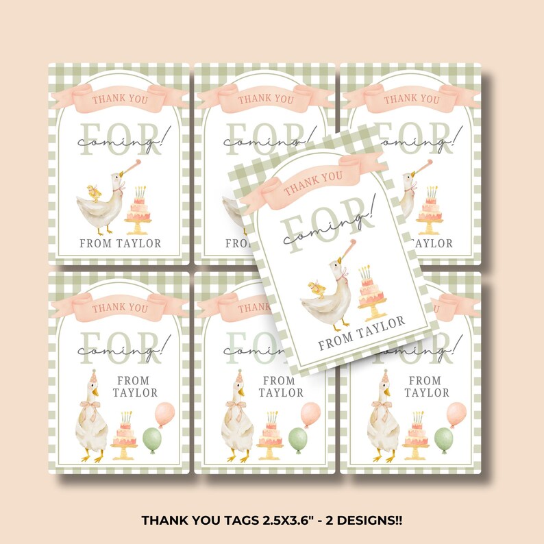 PARTY BUNDLE, Goose Birthday Decor, Silly Goose Thank You Tags, High ...