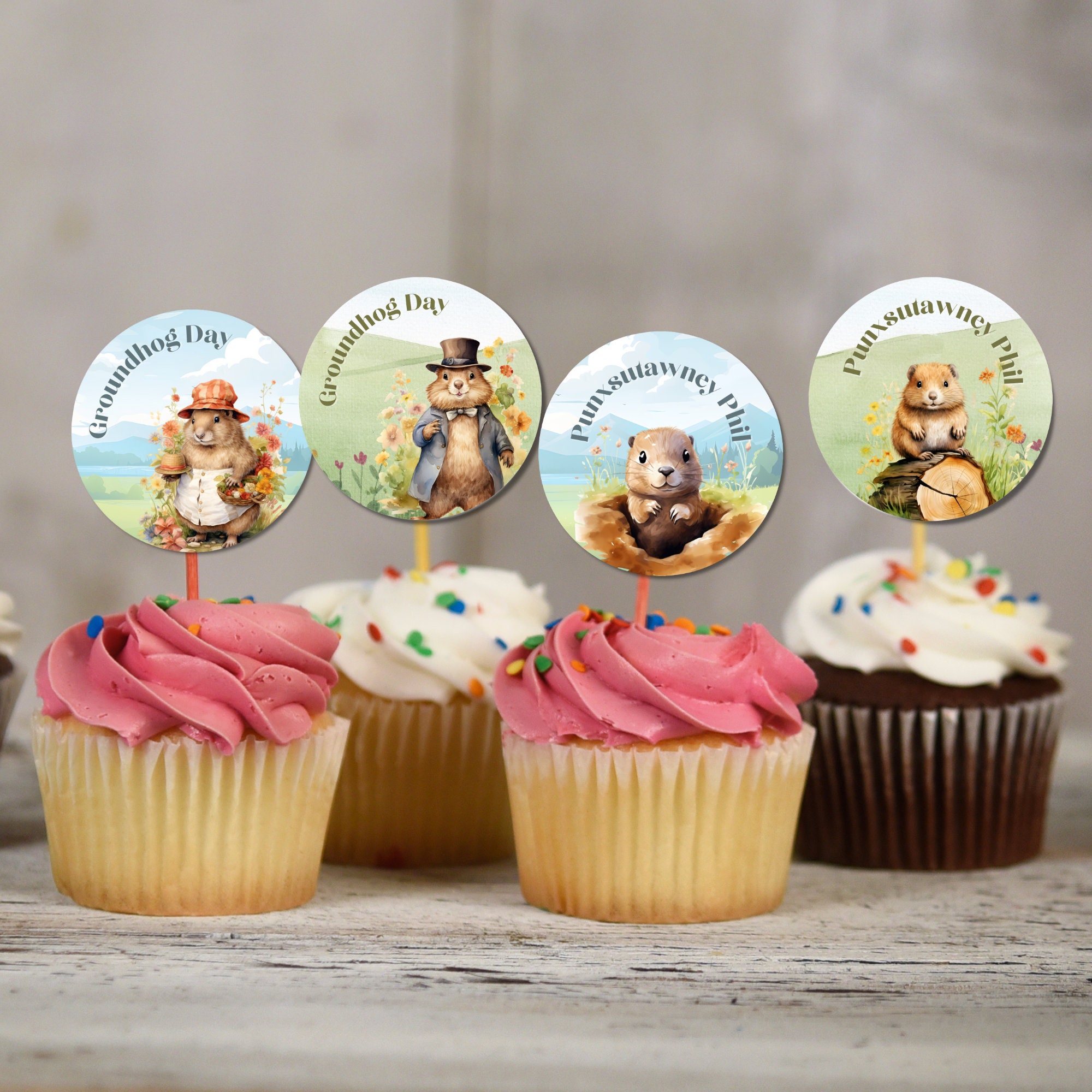 Groundhog Day Cupcake Toppers, Punxsutawney Phil, Groundhog Party Decor ...