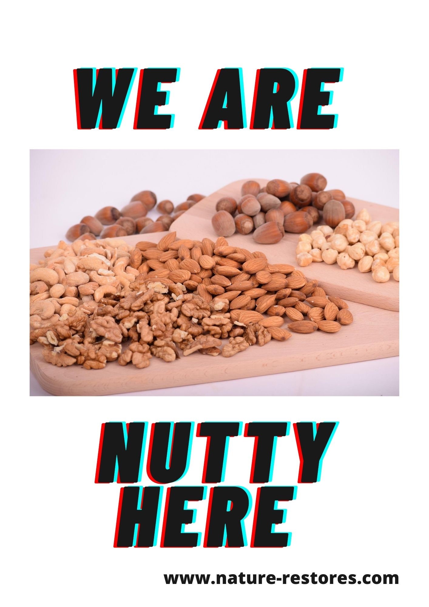 A4 Print we Are Nutty Here Instant Downloadable Item Print - Etsy