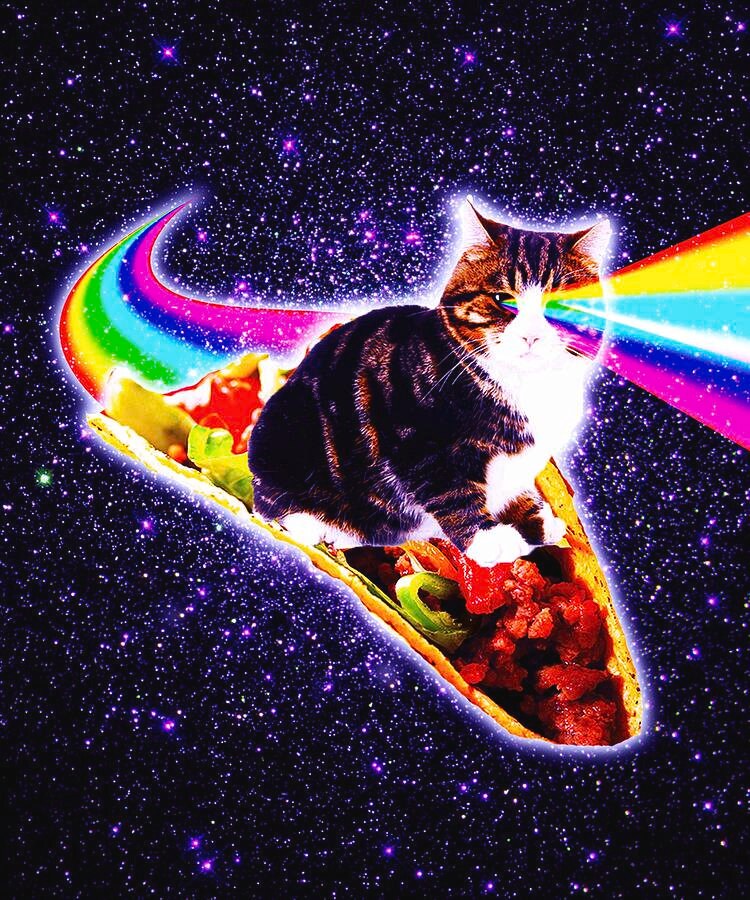 Cats Shooting Lasers
