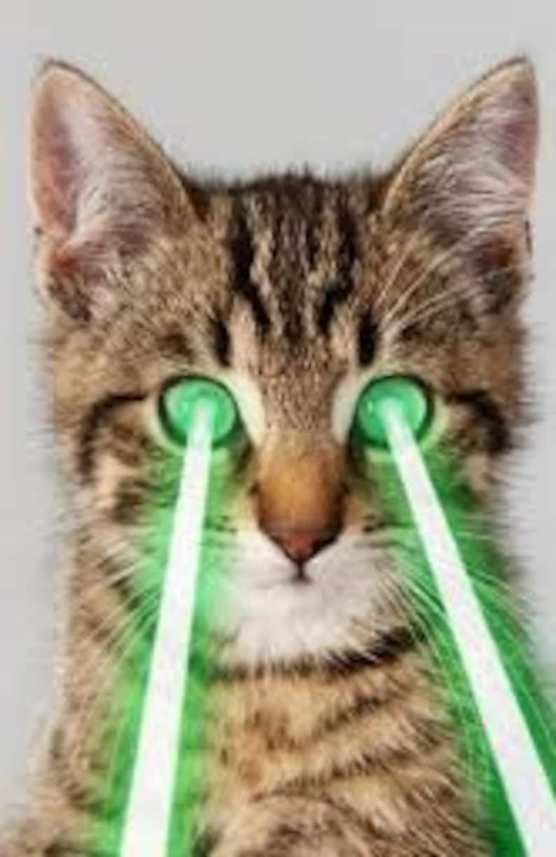 40 Free Listings With Cats Shooting Lasers From Their Eyes - Etsy