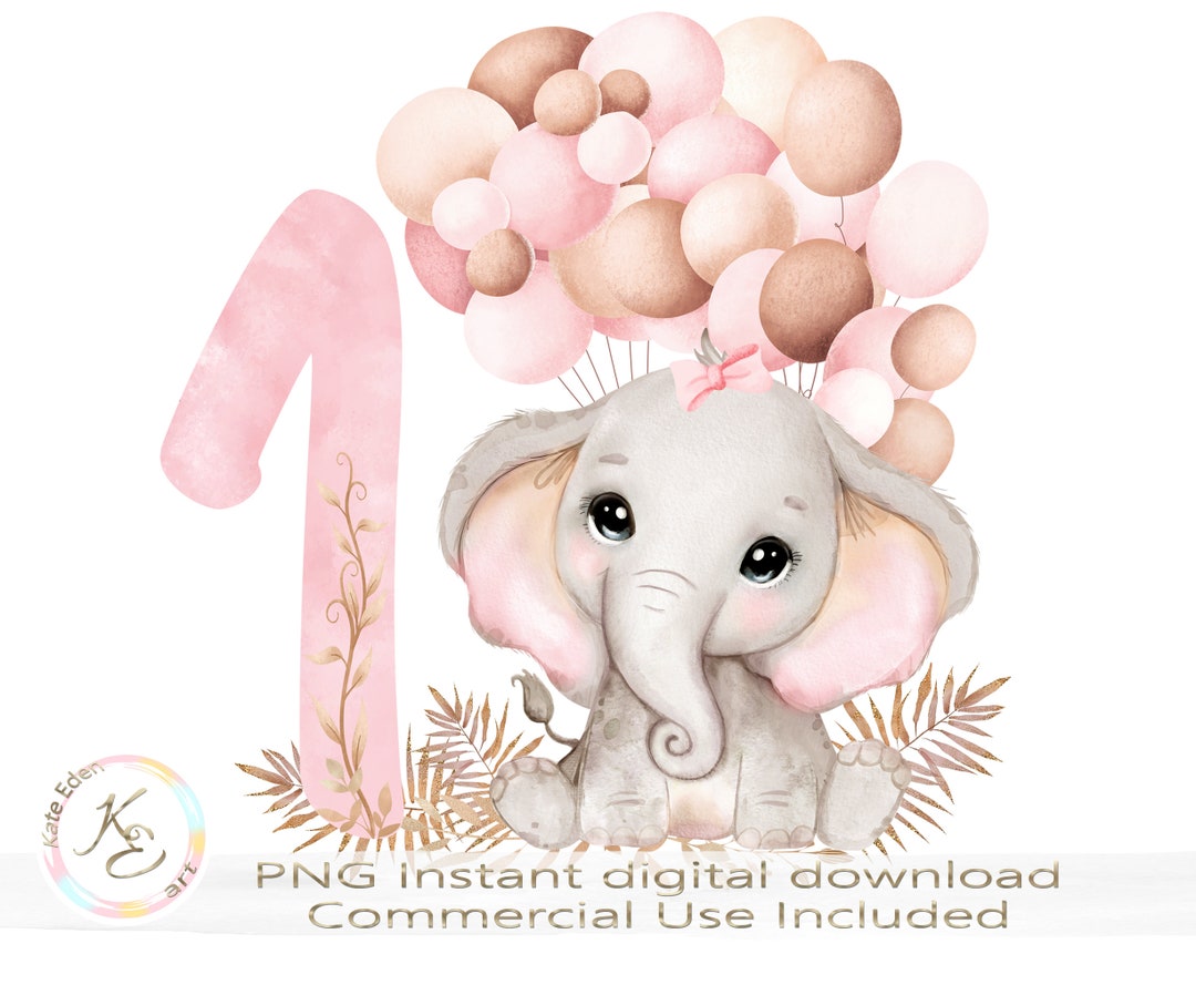 First Birthday Girl, PNG, 1st Birthday Girl, Cute Elephant, Pink ...