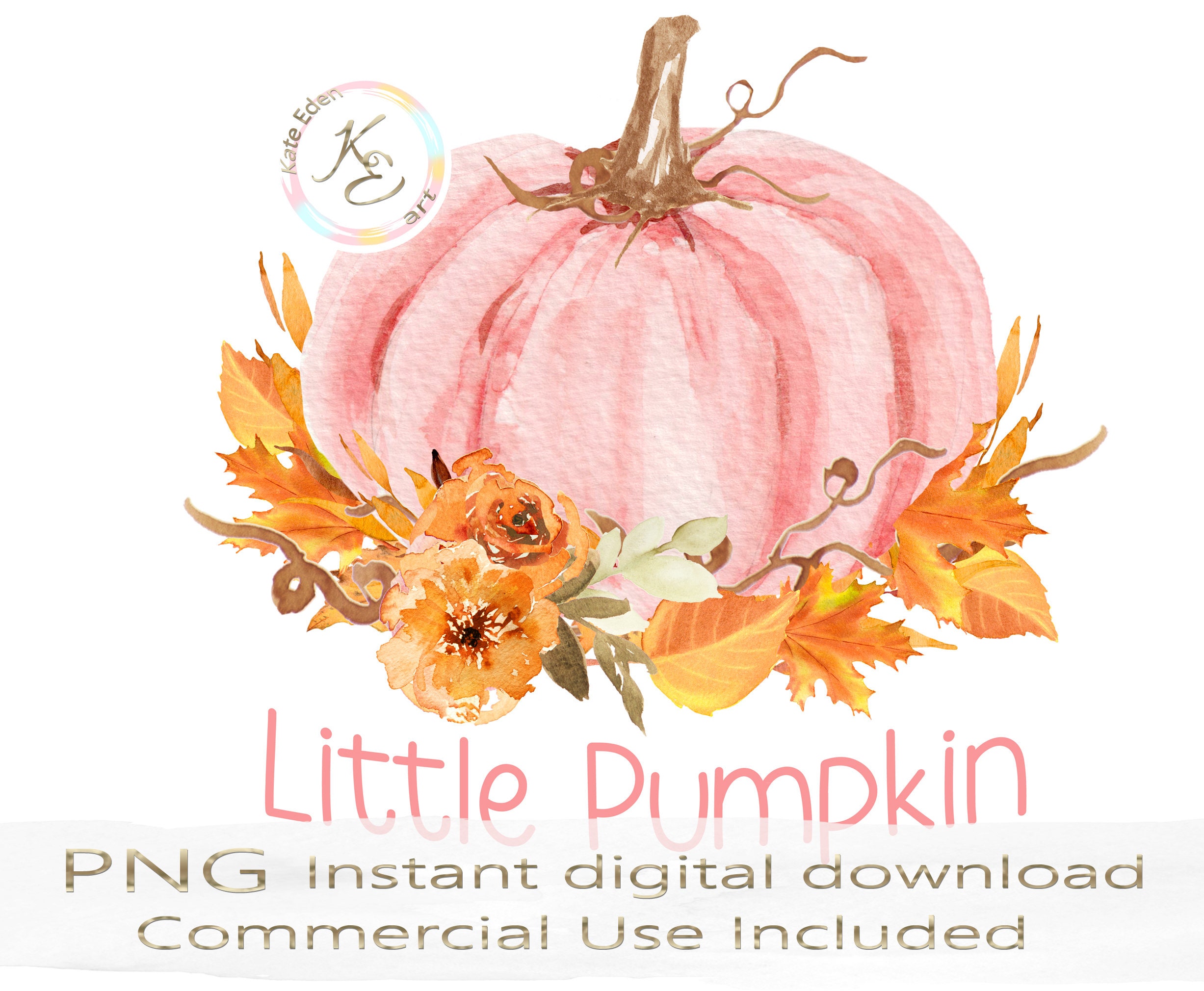 Little Pumpkin PNG Fall PNG Pink Pumpkin Autumn Decor - Etsy