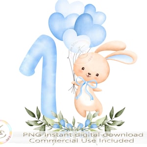 First Birthday Boy, PNG, 1st Birthday Boy, Cute Bunny, Blue Balloons ...