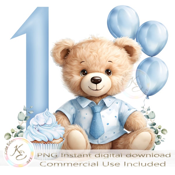 Teddy Bear First Birthday - Etsy