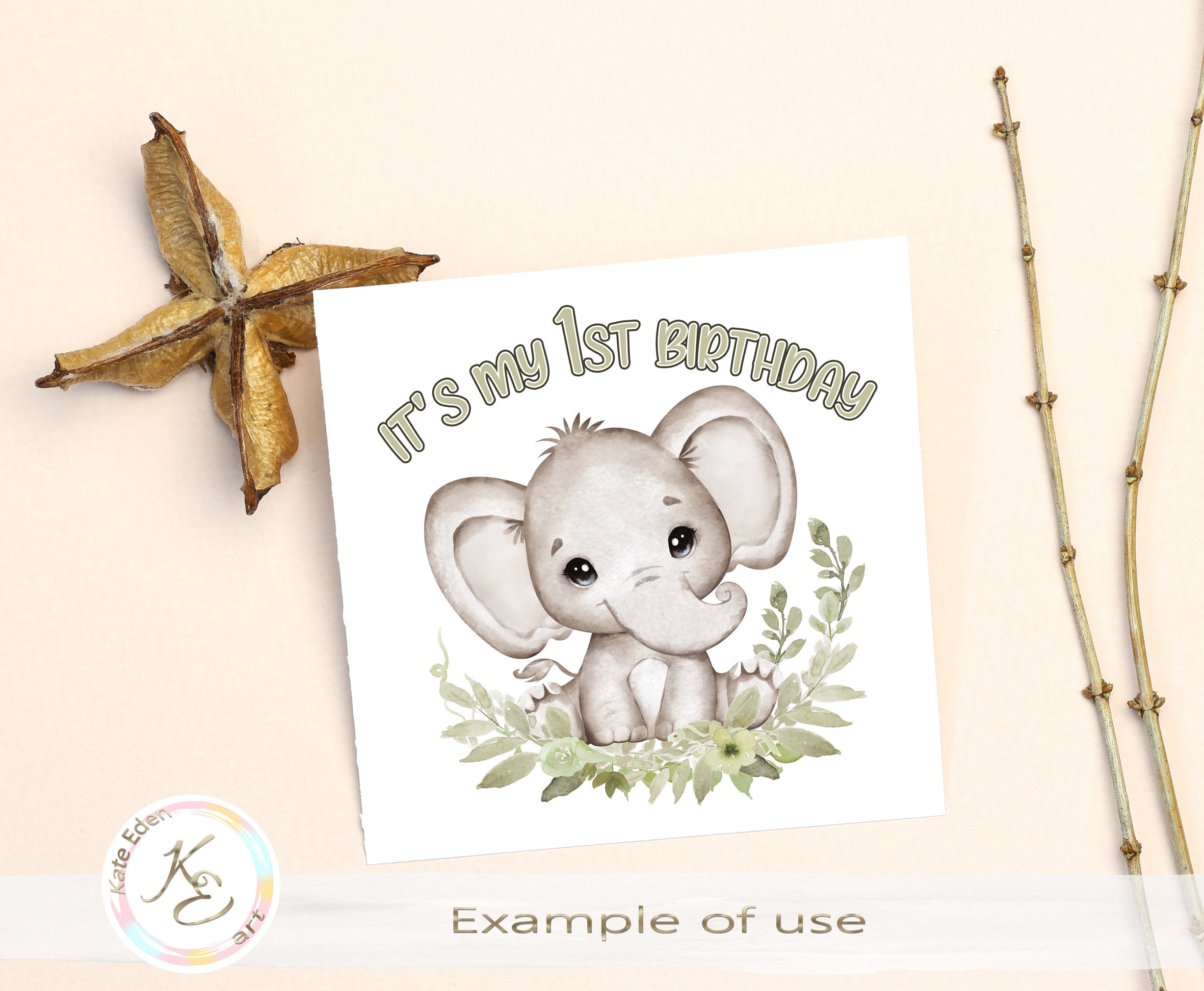 First Birthday Boy PNG Sublimation 1st Birthday Boy Cute - Etsy