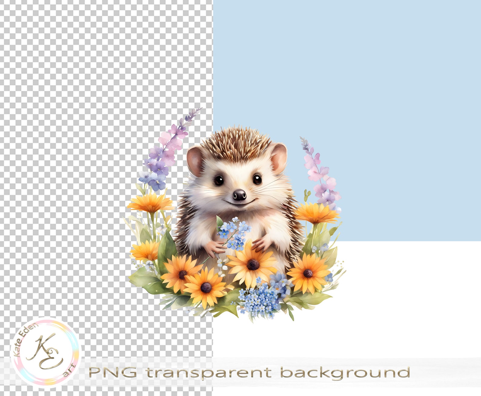 Cute Hedgehog PNG Midsummer Watercolor Clipart Midsummer - Etsy