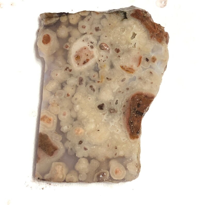HTF Fisheye Fossil Agate Lapidary Slab Mexican Fish Eye Agate - Etsy