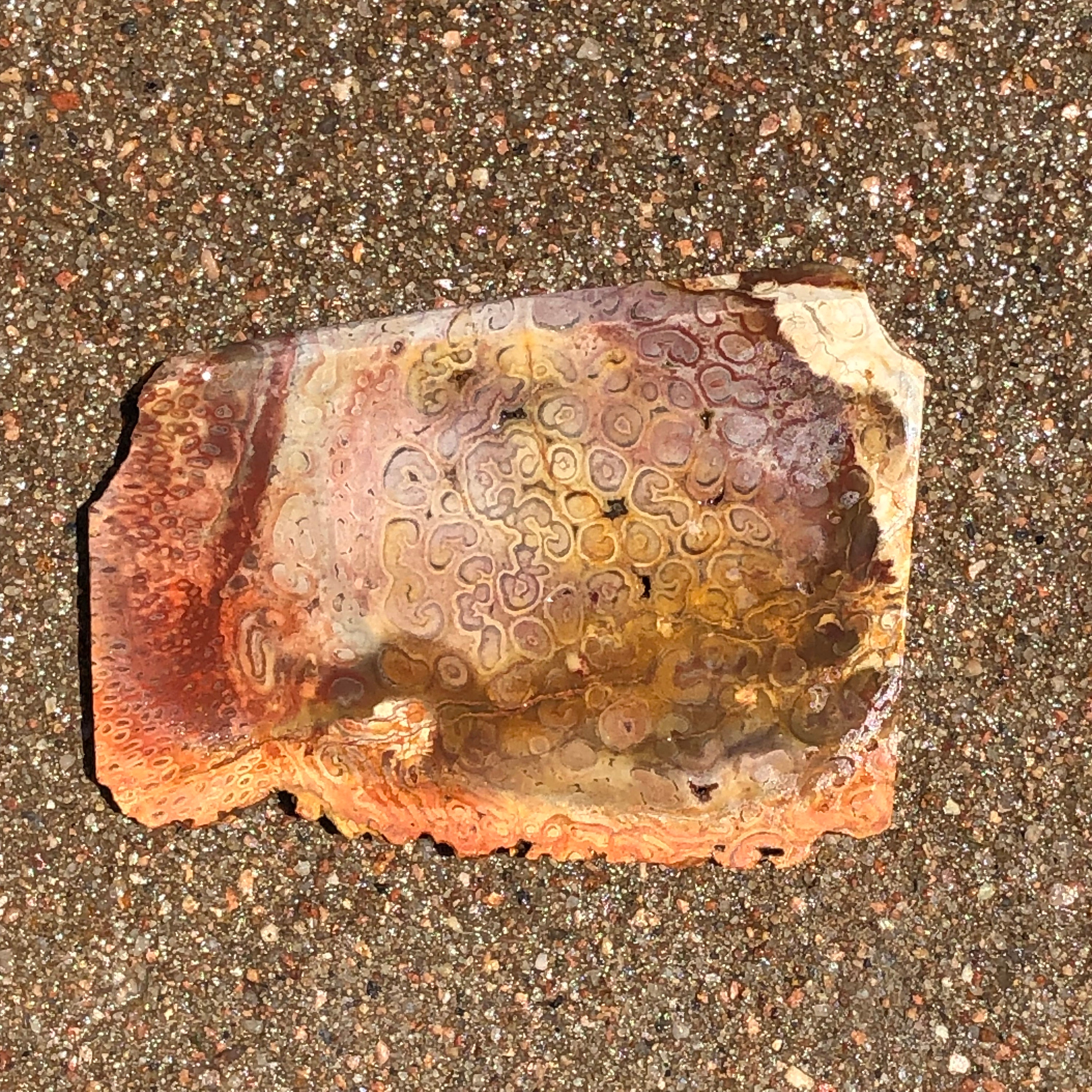 Old Stock Colorful Vintage Agatized Coral Fossil Slab, Pink Peach Mauve ...