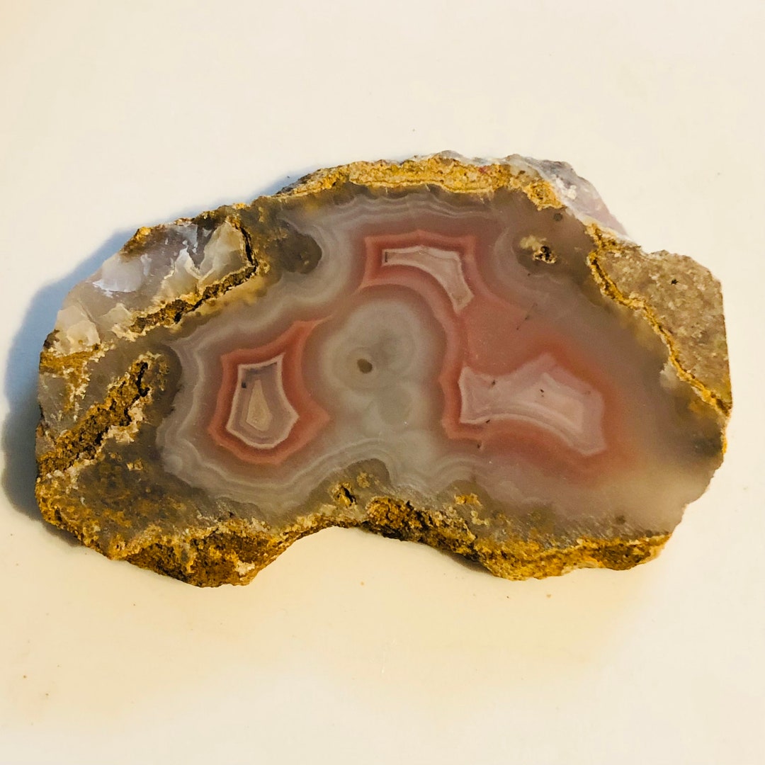 Mexican AGUA NUEVA Fortificaton Agate Slab, Mexican Agate Lapidary Slab, Agate Collector ...