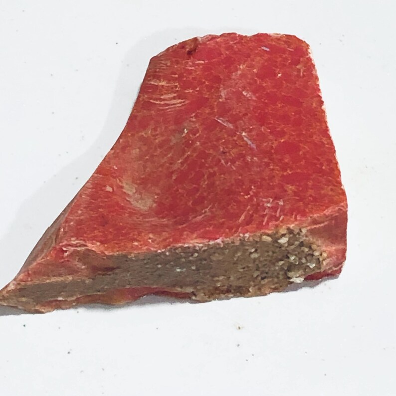 Rare Vintage Coral Rough Lapidary Slab, Vintage Natural Coral Lapidary ...