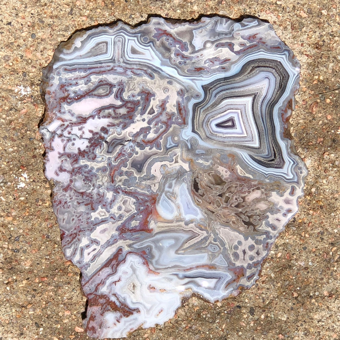 Old Estate Stock Mexican Crazy Lace Agate Lapidary Slab, Mexican Lace ...