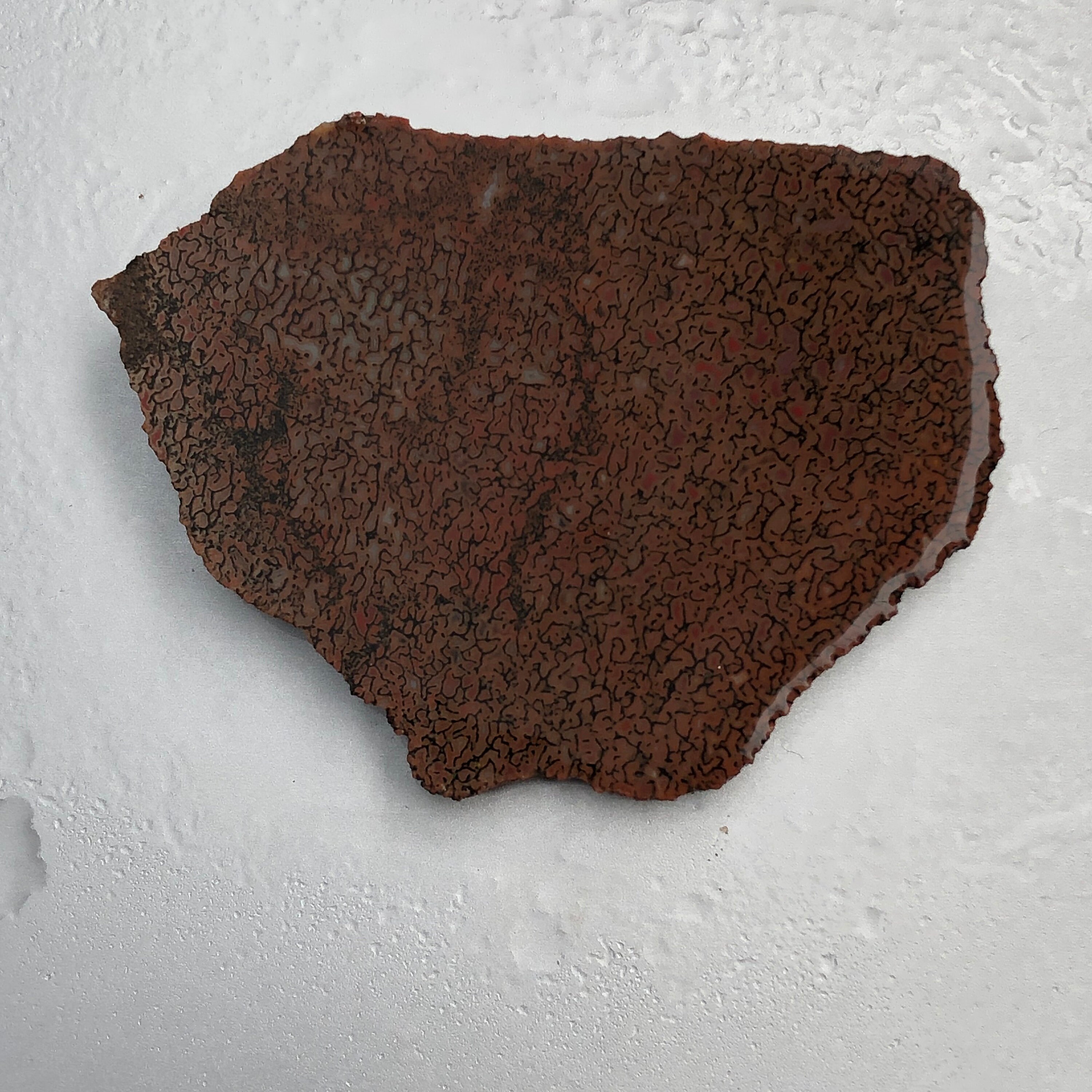 Old Stock Gem Dinosaur Bone Slab, Pink Blue Rust Dinosaur Bone ...