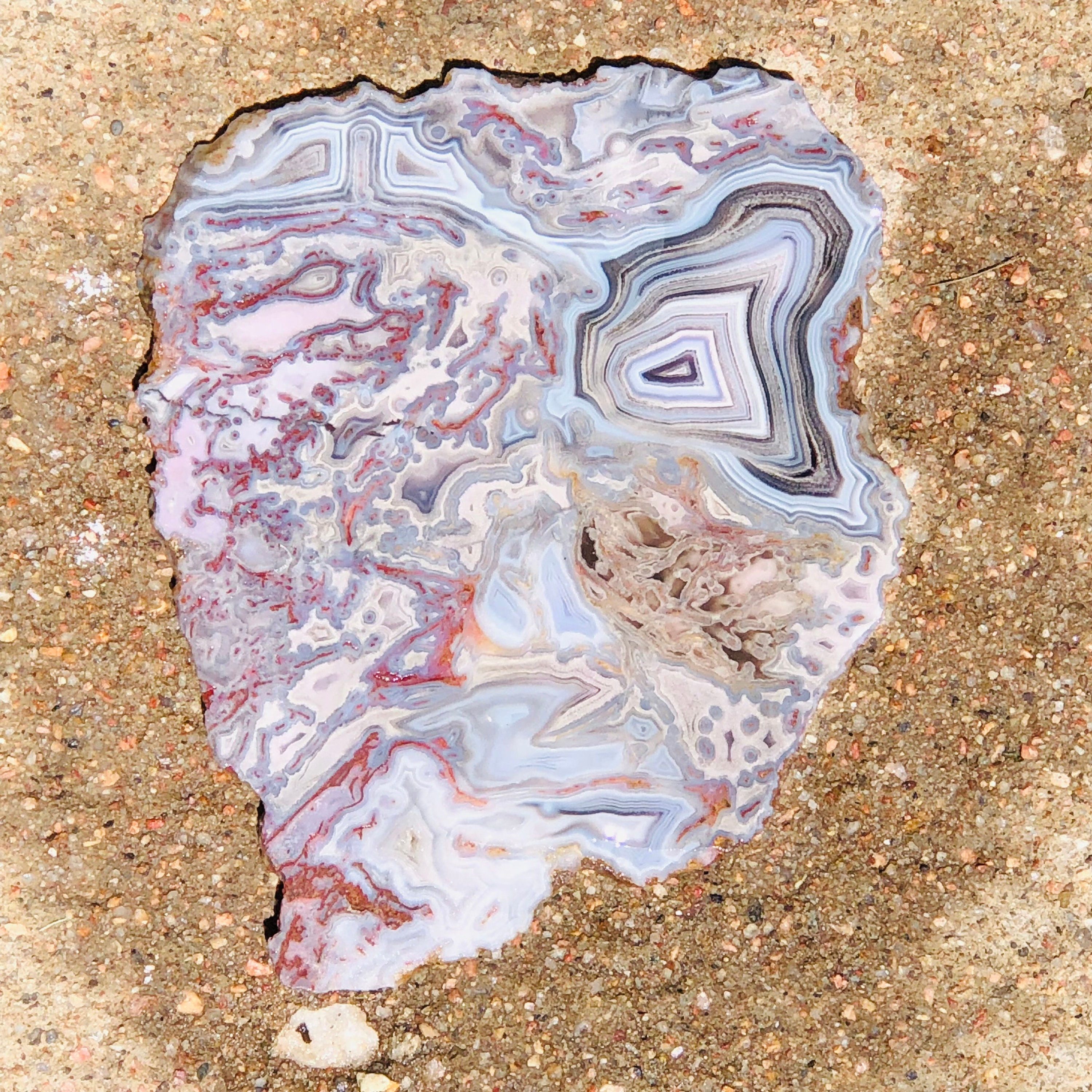 Old Estate Stock Mexican Crazy Lace Agate Lapidary Slab, Mexican Lace ...