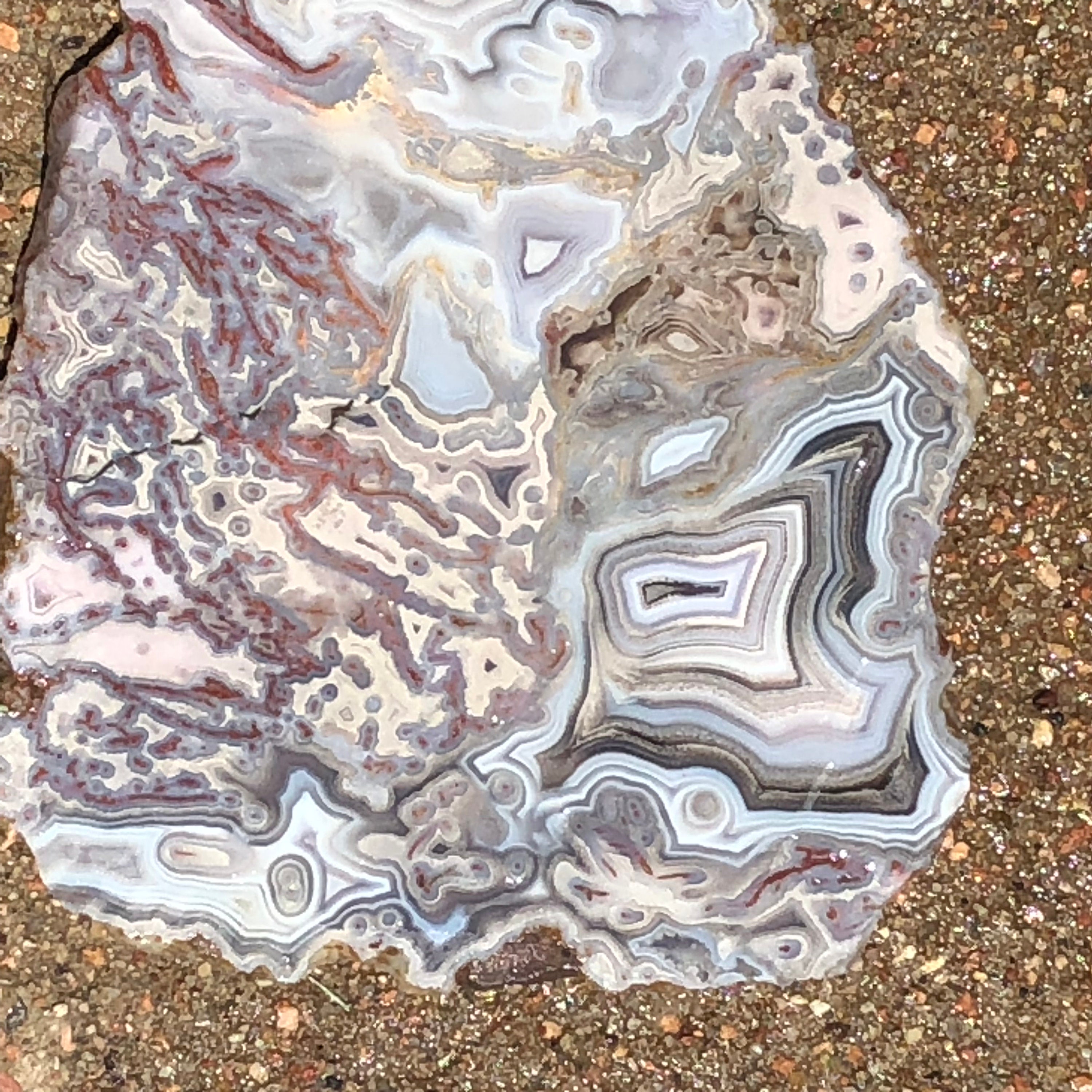 Old Estate Stock Mexican Crazy Lace Agate Lapidary Slab, Mexican Lace ...