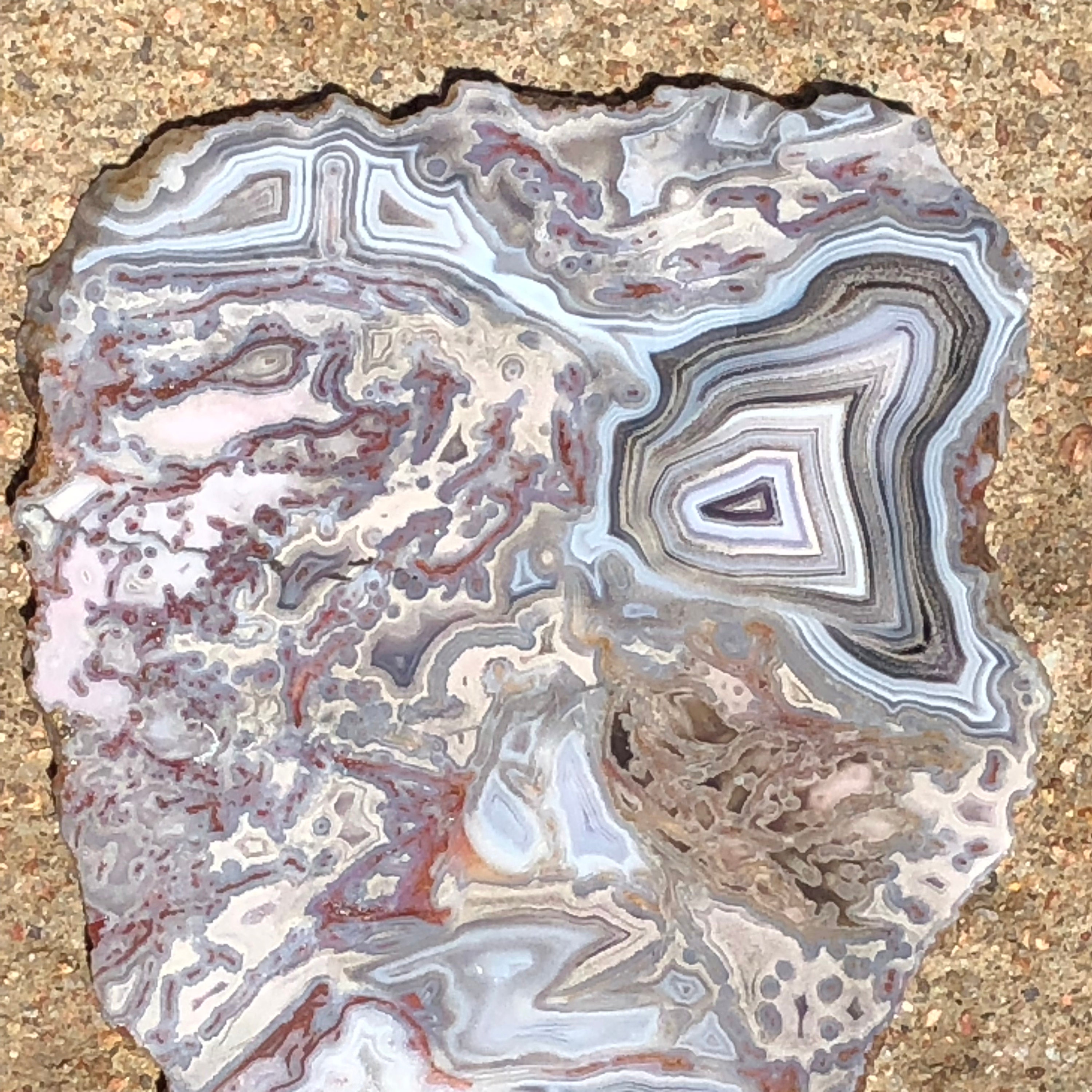 Old Estate Stock Mexican Crazy Lace Agate Lapidary Slab, Mexican Lace ...