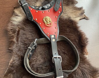 Leather Dog Collar Gladiator - Etsy