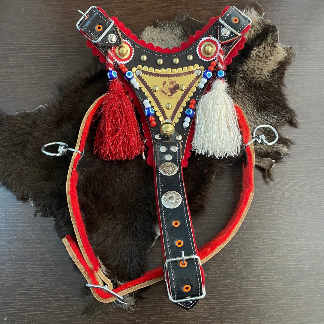 Chest Gladiator Leather Kangal Dog Collar Genuine Buffalo Leather 1st ...