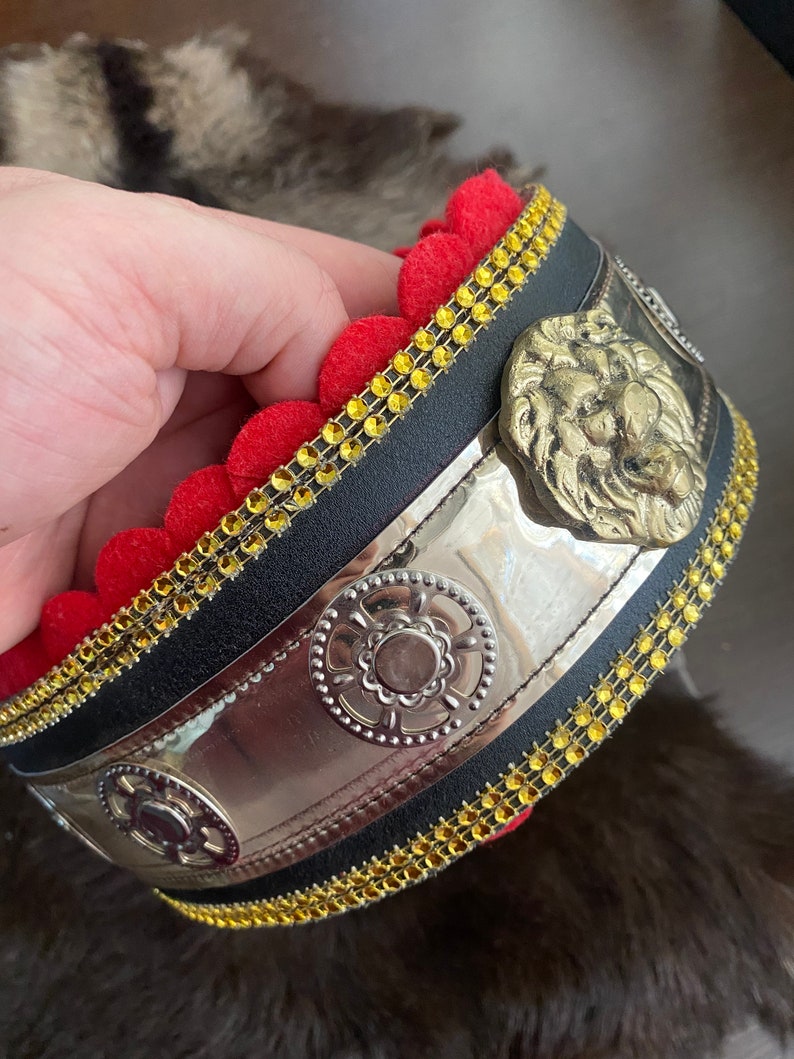 Collier pour chien design spécial avec logo de lion Kangal turc - Etsy ...