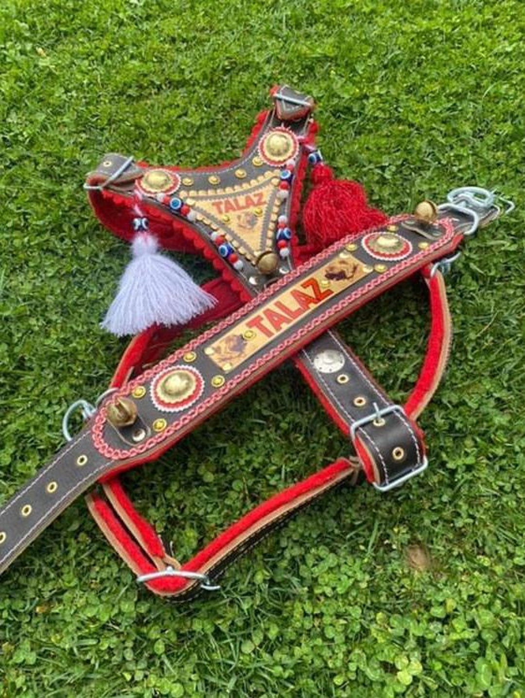 Special Gladiator Coil Dog Leash Set for Your Request European Model ...