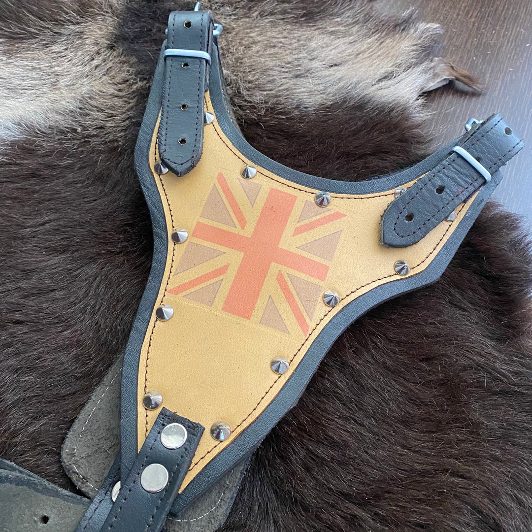 England Flag Chest Gladiator Dog Collar Genuine Leather / - Etsy