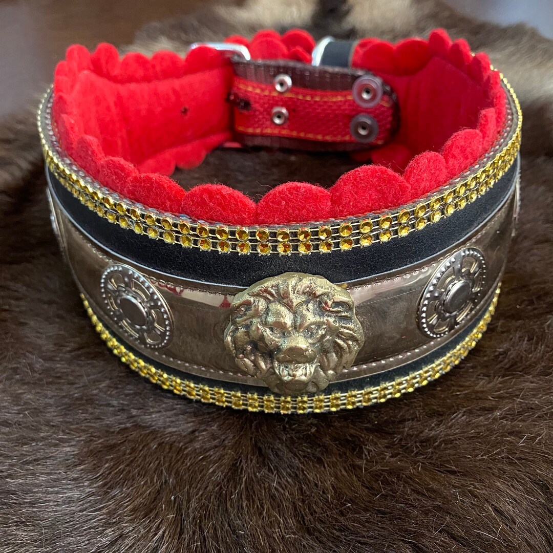 Collier pour chien design spécial avec logo de lion Kangal - Etsy France