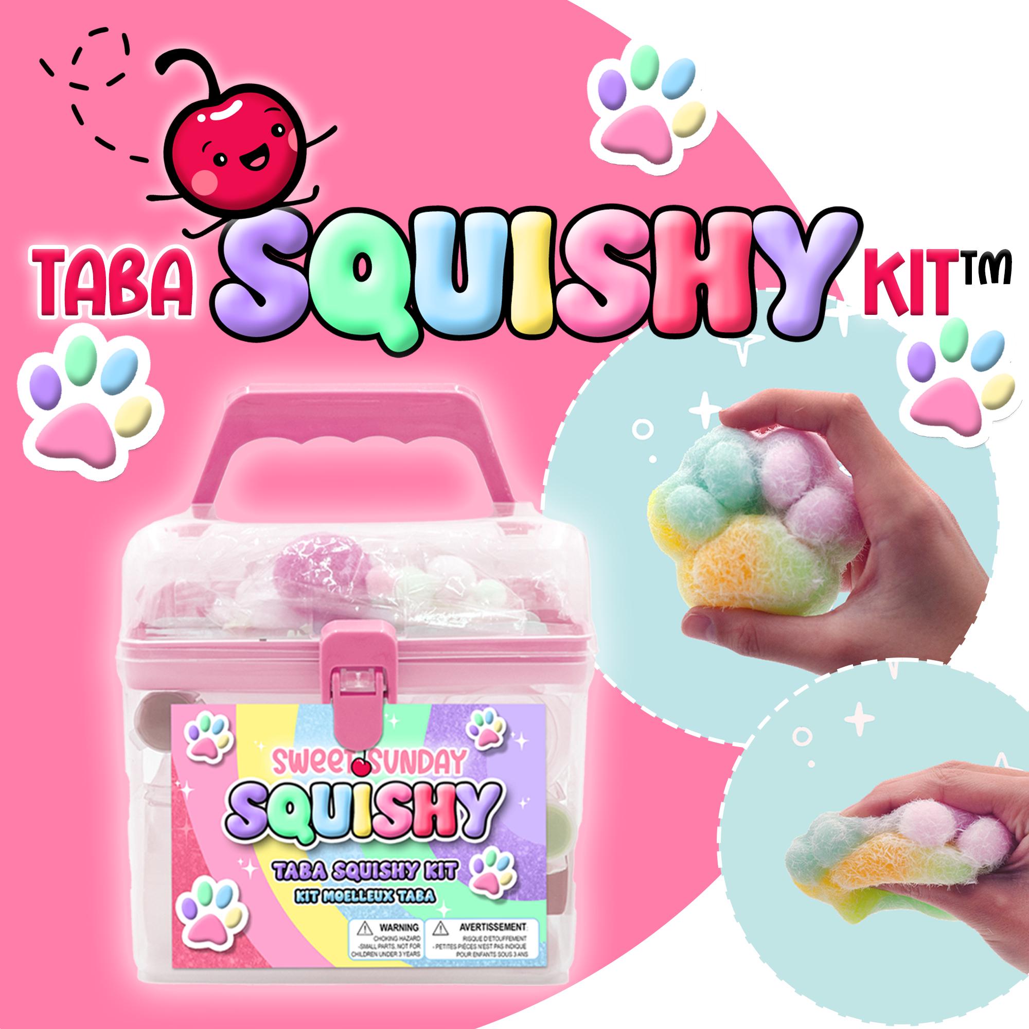 Taba Squishy Kit - Make up to 4 Paw Print Squishy Toys, Squishy Making Kit for Kids, DIY Taba ...