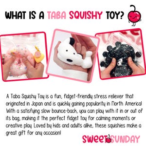Taba Squishy - Baby Toast Soft Squishy Toy in a Bag, Kawaii Desk Toy ...