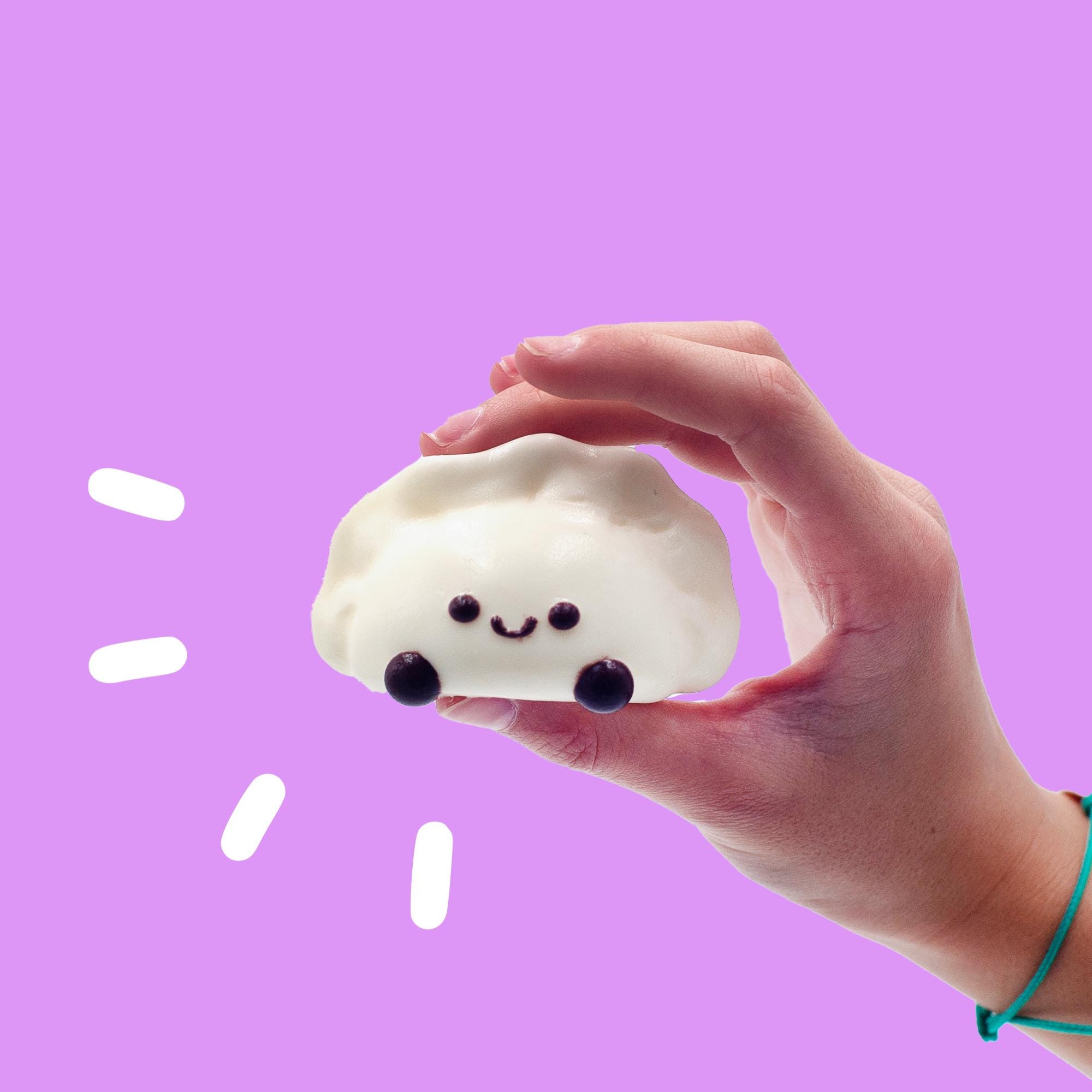 Taba Squishy - Dumpling Soft Squishy Toy in a Bag, Kawaii Desk Toy ...