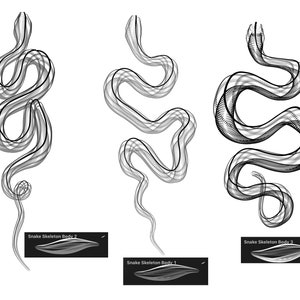 Snake Brush | Procreate Snake Scale Brush Set | Procreate Snake Body ...