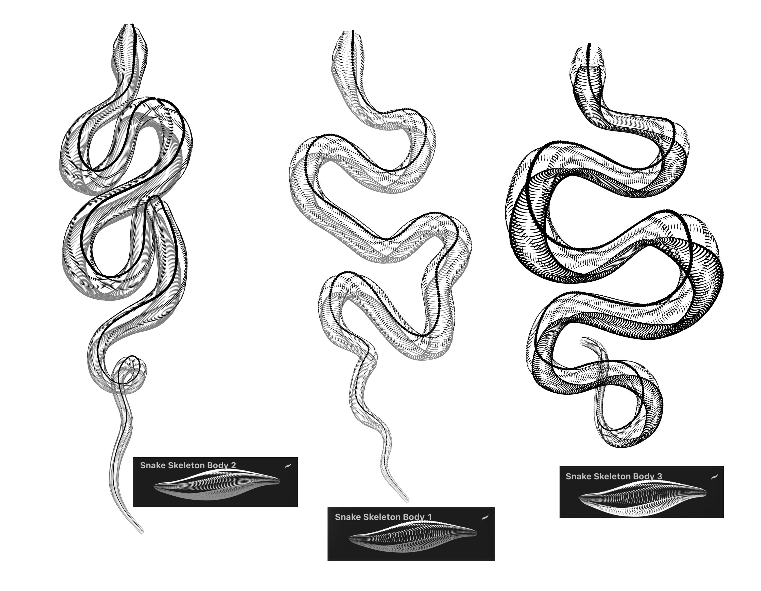 Snake Brush | Procreate Snake Scale Brush Set | Procreate Snake Body ...