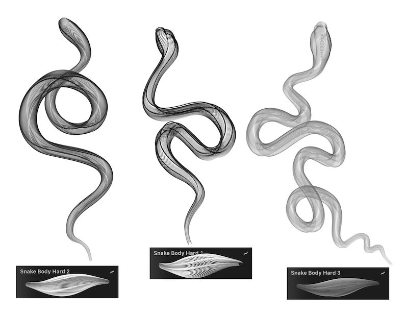Snake Brush | Procreate Snake Scale Brush Set | Procreate Snake Body ...