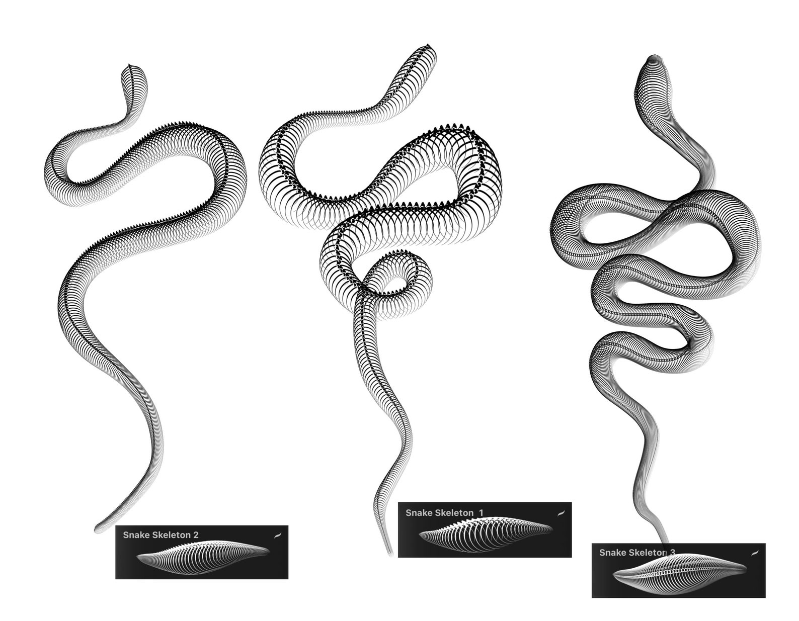 Snake Brush | Procreate Snake Scale Brush Set | Procreate Snake Body ...