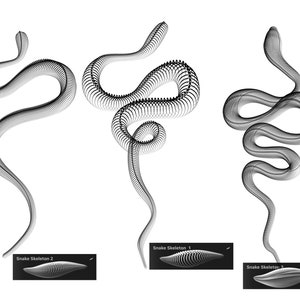 Snake Brush | Procreate Snake Scale Brush Set | Procreate Snake Body ...
