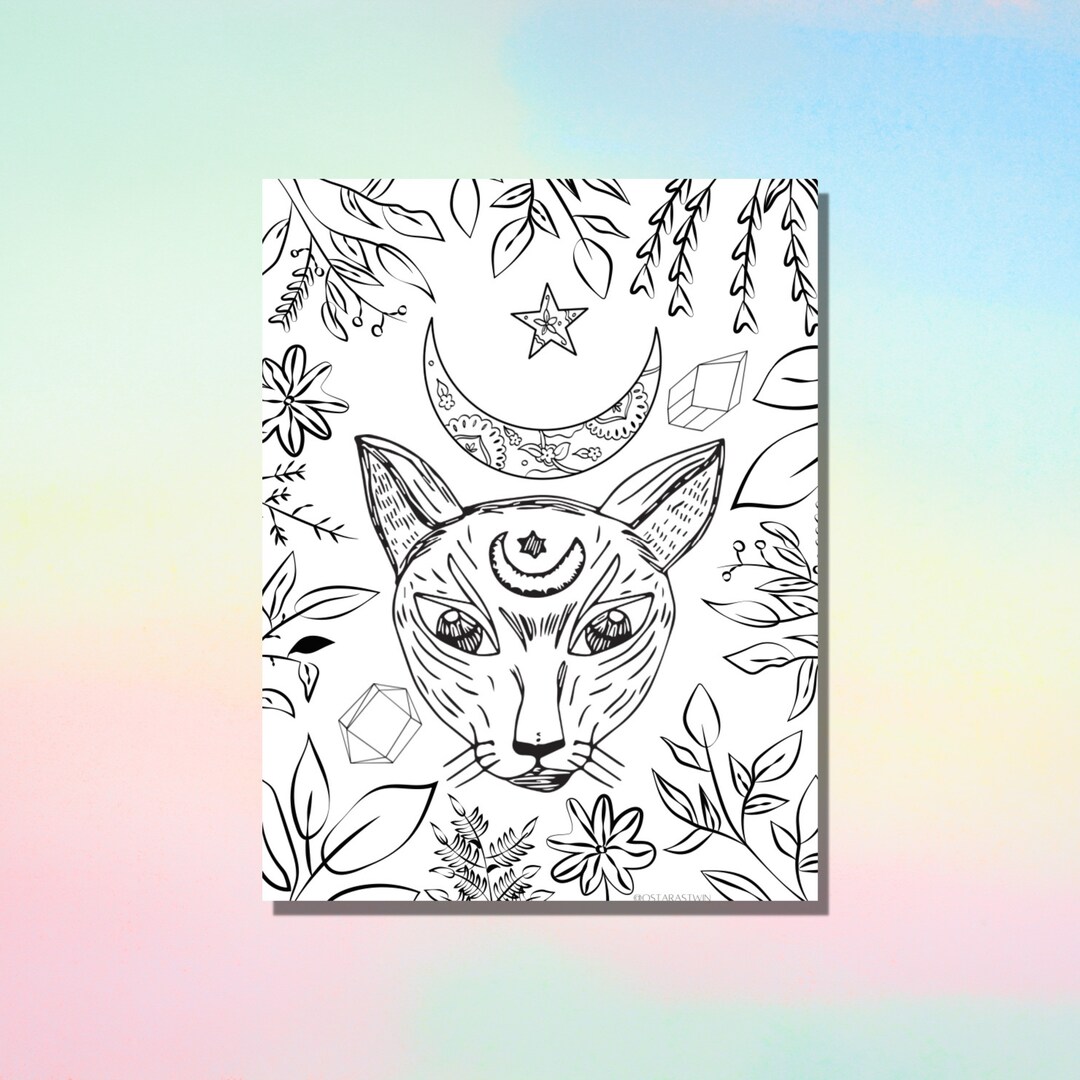 Multi-dimensional Cat Coloring Page Witch Coloring Page - Etsy