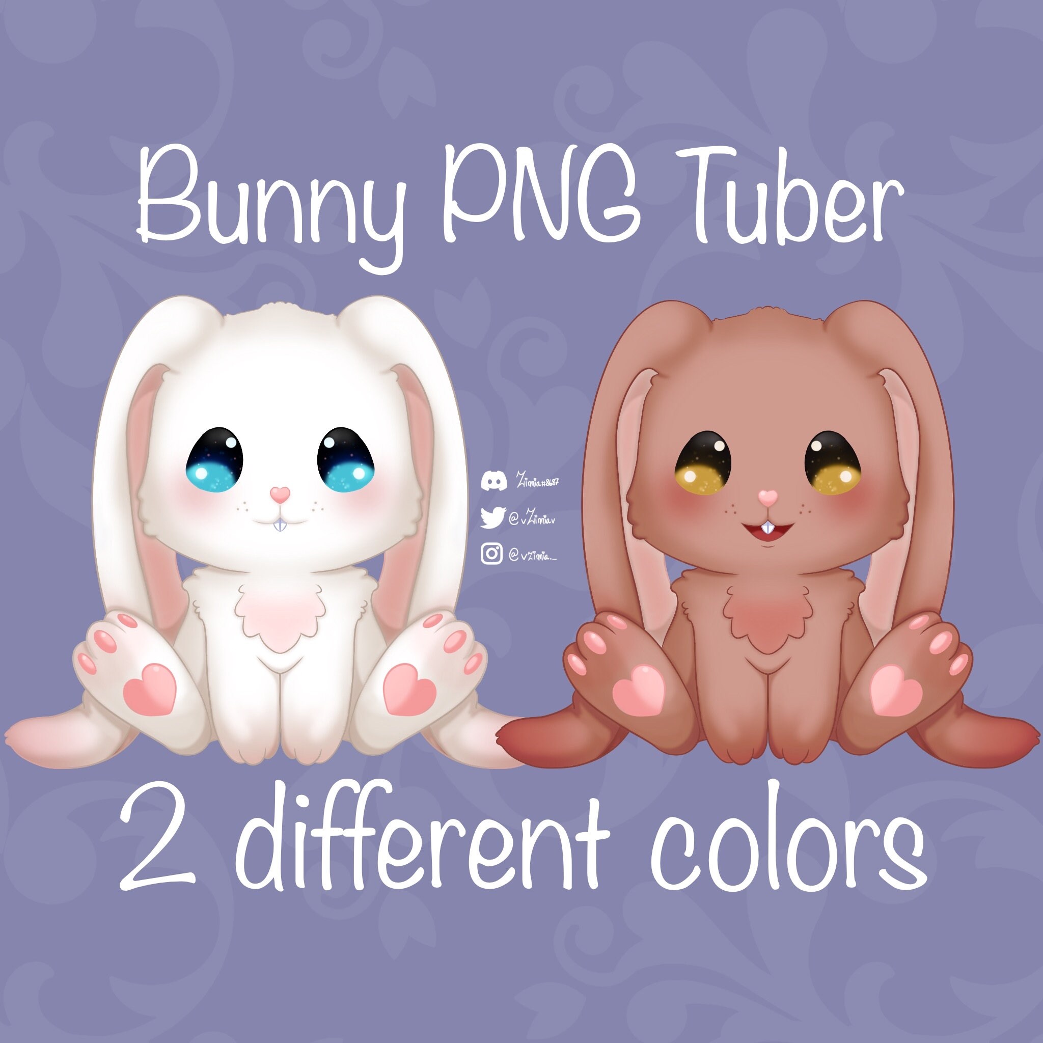 Bunny PNG Tuber - 2 Pack - Etsy