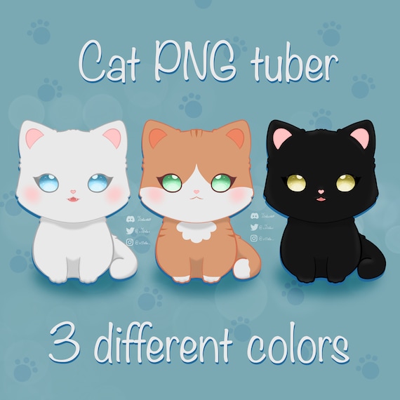 Cat PNG Tuber 3 Pack - Etsy