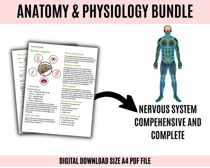 Anatomy and Physiology Nursing Anatomy Study Guide Anatomy - Etsy Anatomy and Physiology Nursing Anatomy Study Guide Anatomy - Etsy