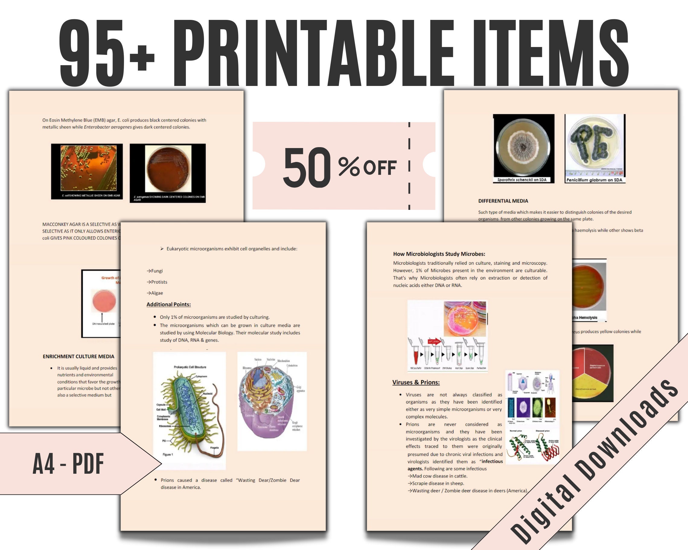 Microbiology Notes 95 Pages Downloadable File to Help - Etsy