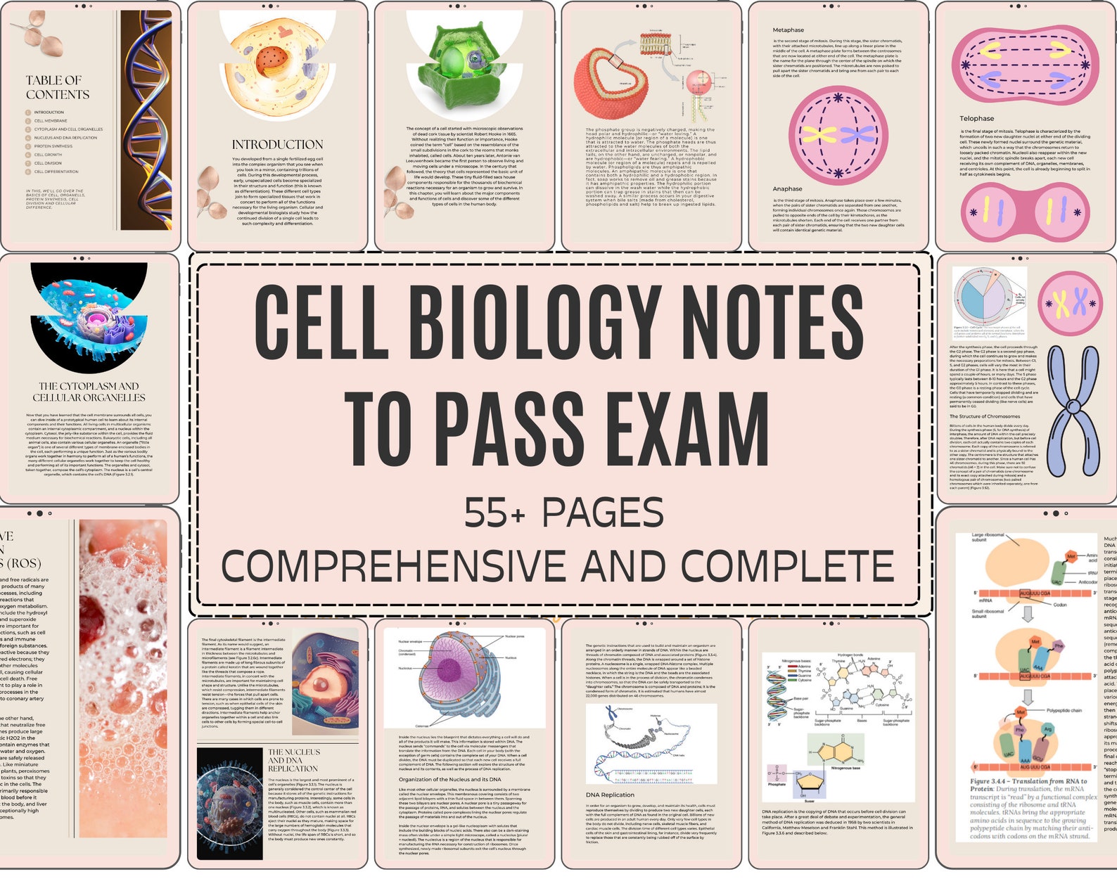 BIOLOGY NOTE SET 55 Pages - Etsy