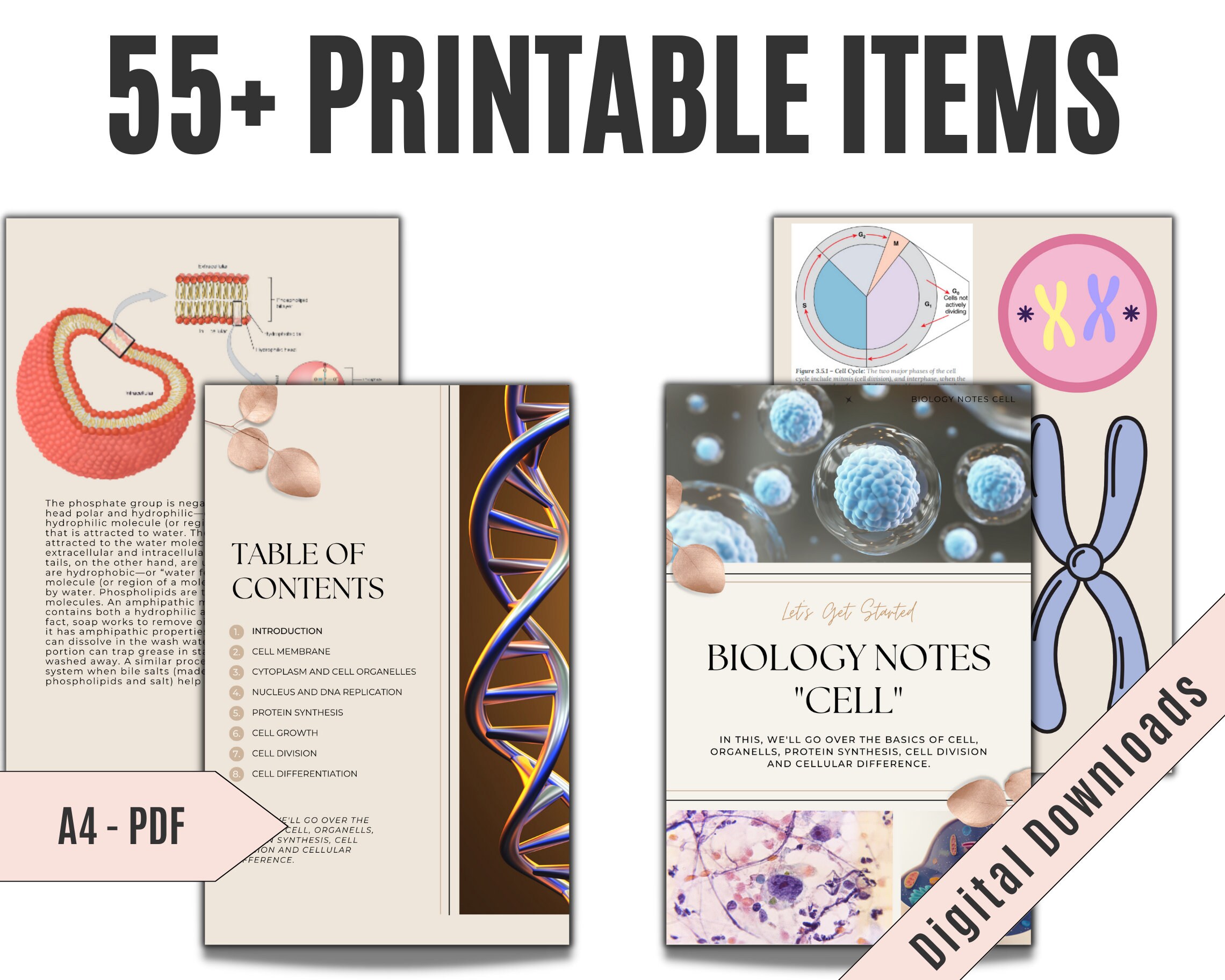 BIOLOGY NOTE SET 55 Pages - Etsy