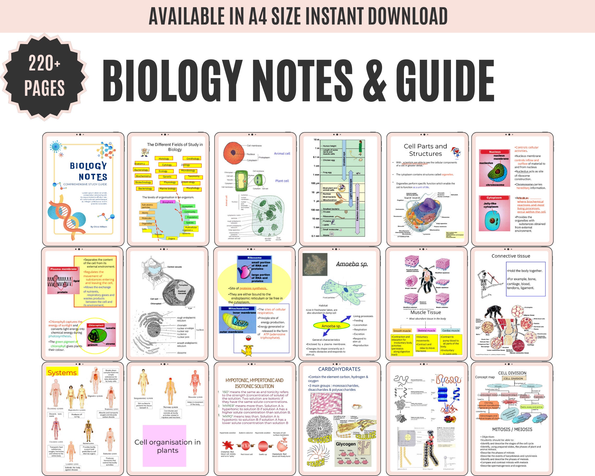 Biology Notes 220 Pages Downloadable File to Help You - Etsy UK