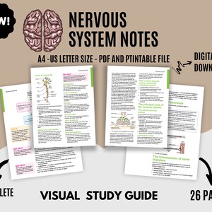 The Nervous System biology Notes - Etsy