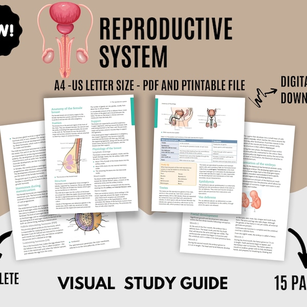 Nurse Notes Reproductive System - Etsy