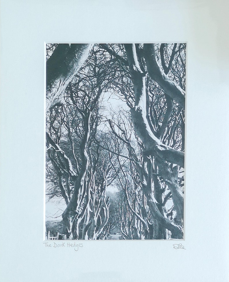 The Dark Hedges Northern Ireland Print – Vintage Film Landscape (8x10 ...