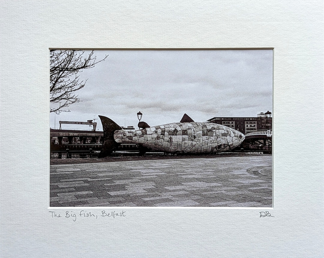 The Big Fish, Belfast - B&W Mounted Print - Etsy