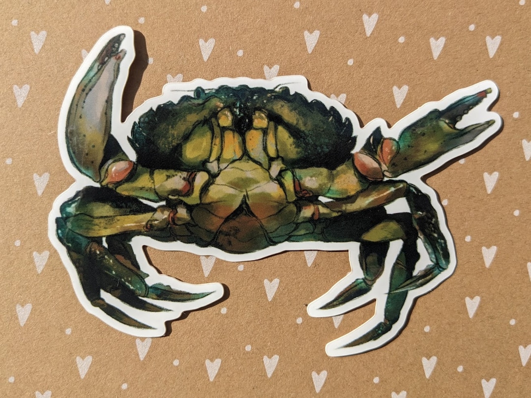 Crab Sticker 12cm - Etsy Australia