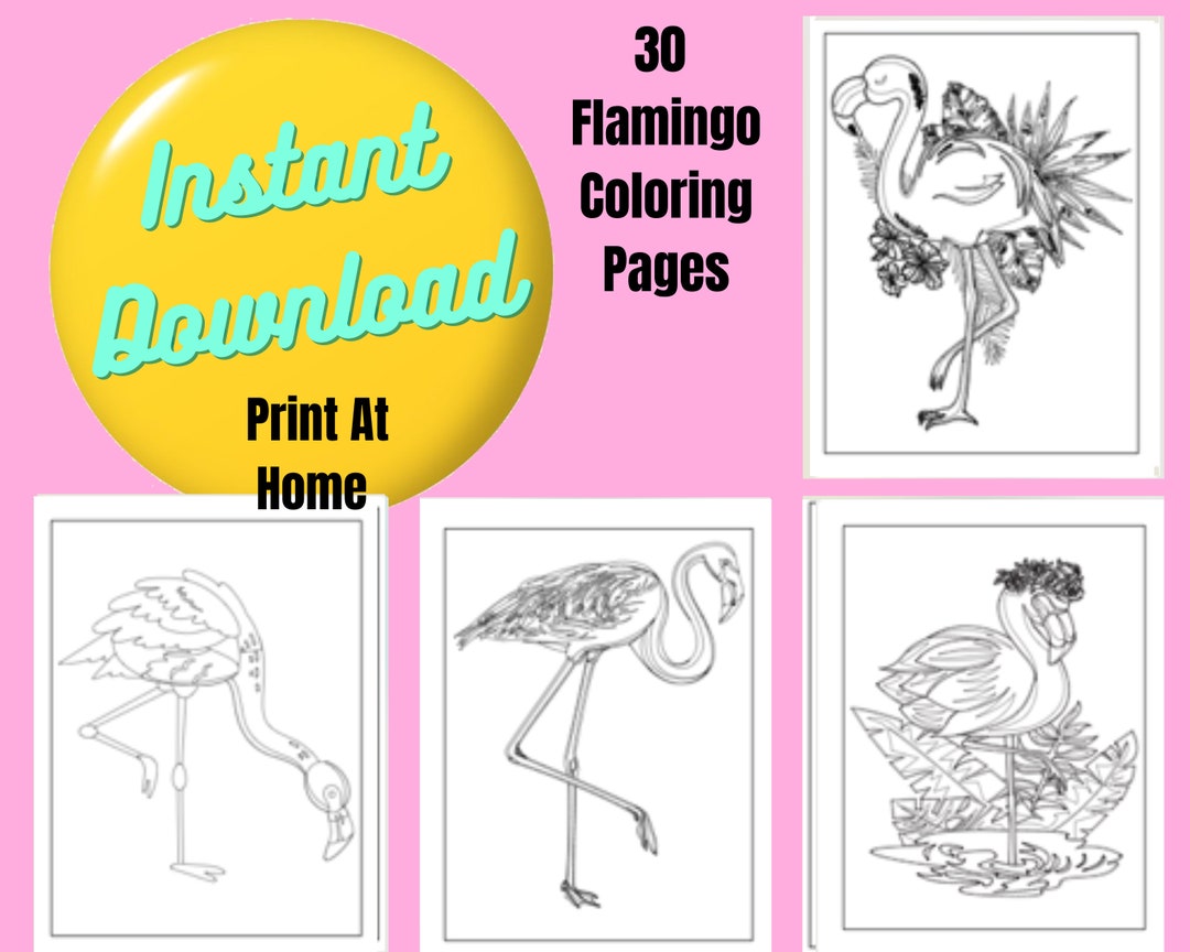 30 Beautiful Flamingo Coloring Pages | Adult Coloring | Stress Relief ...